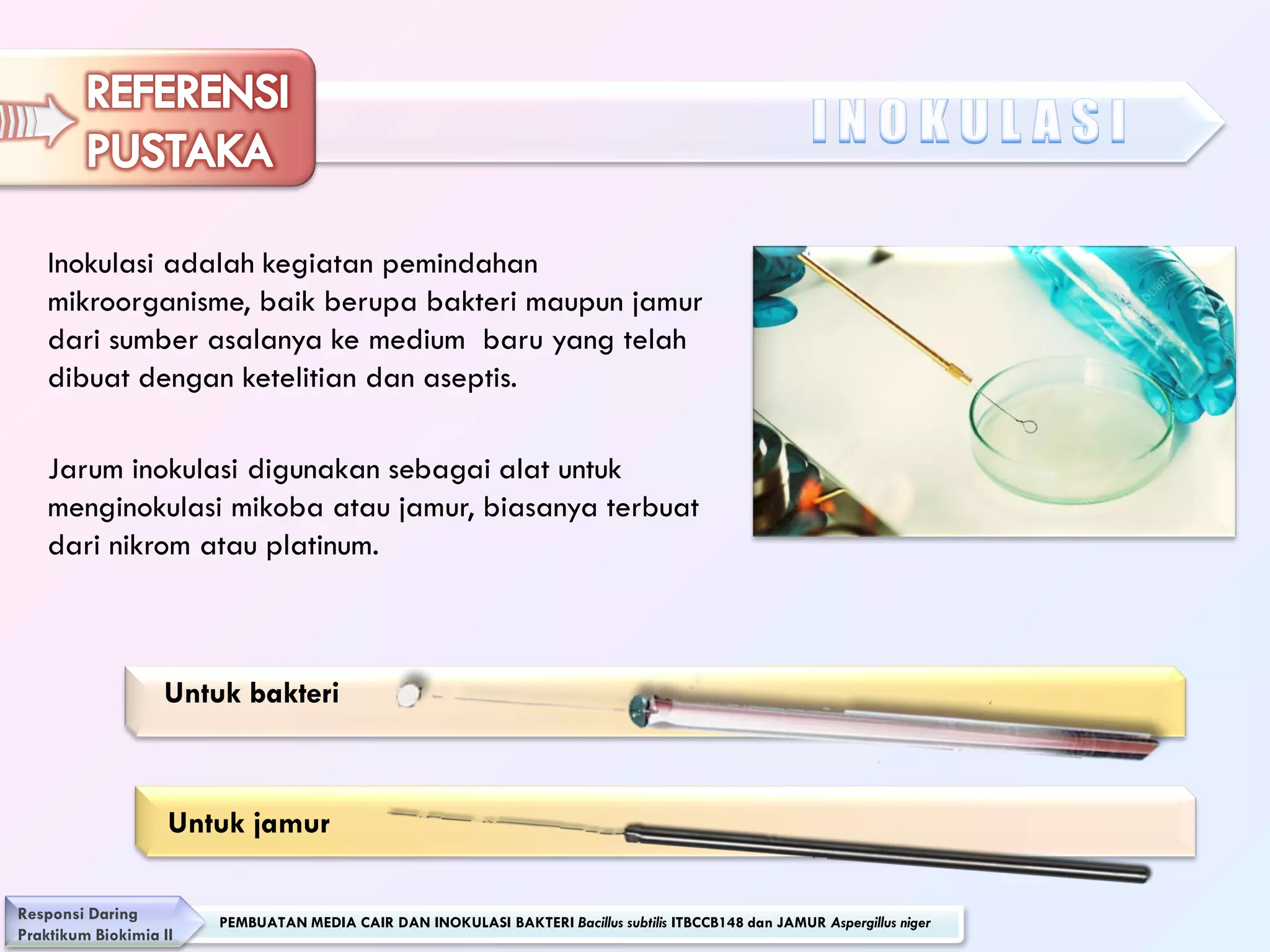 PEMBUATAN MEDIA CAIR & INOKULASI BAKTERI Bacillus Subtilis ITBCCB148 ...