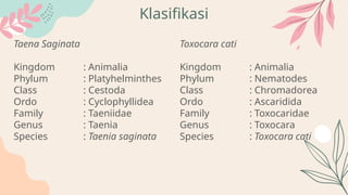 (Revisi) Kelompok 3 Taena Saginata Toxocara cati.pptx
