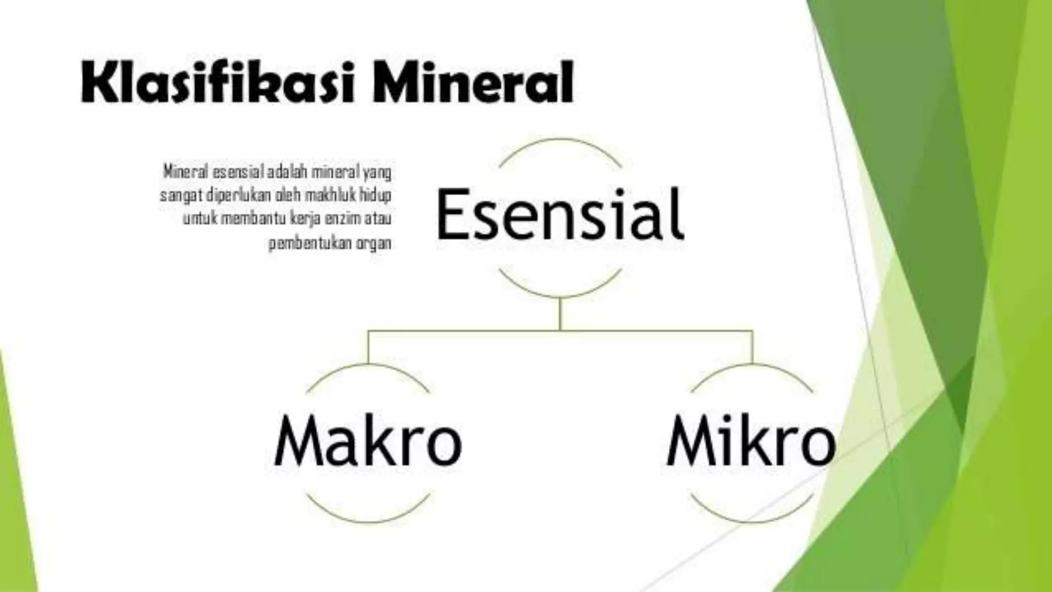 PPT MINERAL MIKRO | PPTX