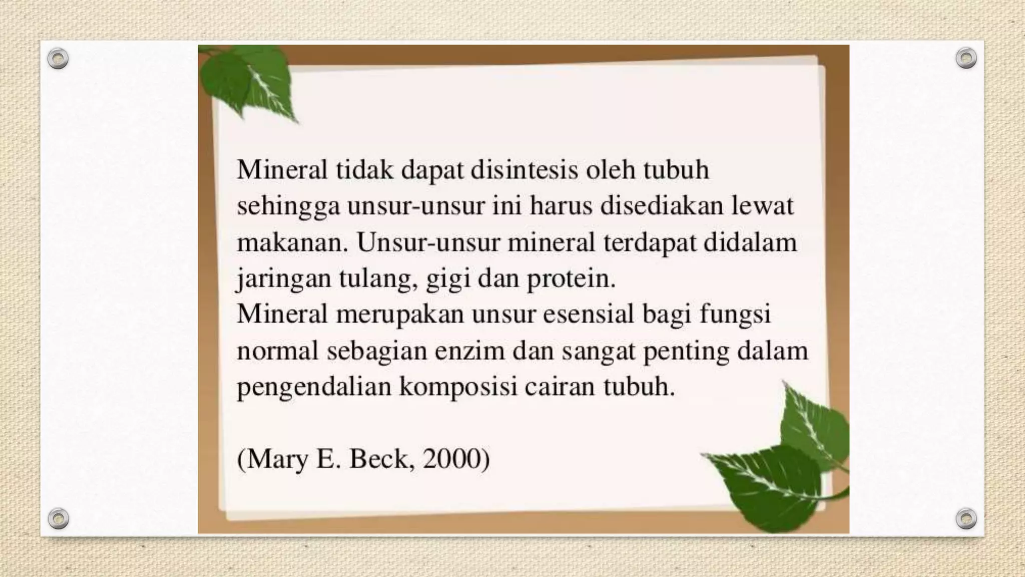 PPT MINERAL MIKRO | PPTX