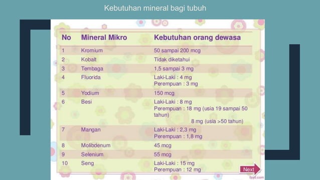 PPT MINERAL MIKRO | PPTX