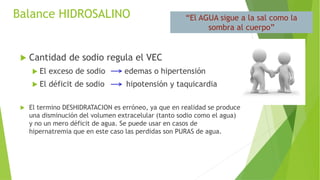 Revisión fluidoterapia | PDF
