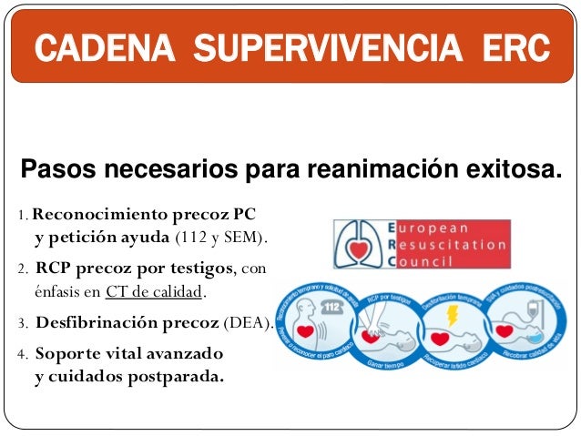 Revisión guías rcp 2015.