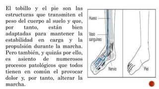 Revisión semiológica del Tobillo y pie.pptx