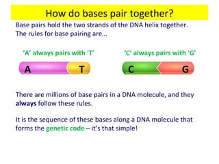 Biology GCSE OCR B3 revision 1 | PPT