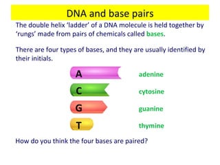 Biology GCSE OCR B3 revision 1 | PPT