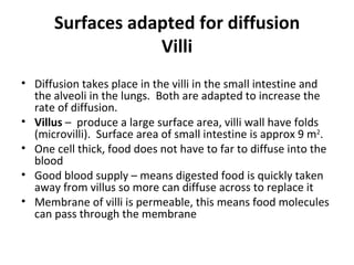 OCR Biology B3 part 2 | PPT | Lung and Respiratory Health | Diseases ...