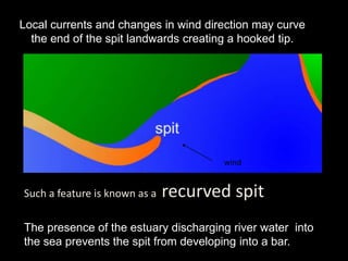 Coastal geomorphic processes and geology | PPTX | Geology | Science