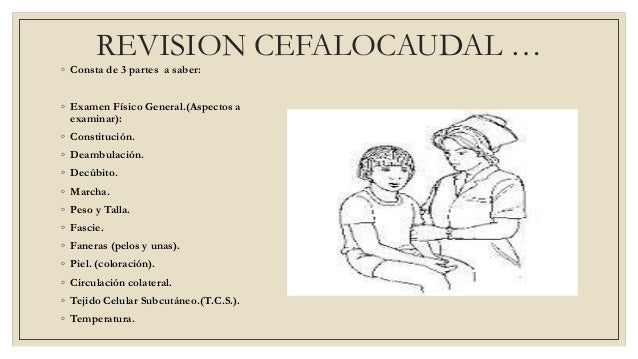 Revision cefalocaudal