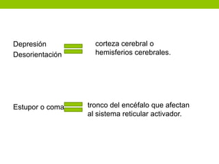 Semiología del sistema nervioso | PPTX