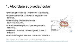 Revisiones ortopedia y traumatologia de anatomia | PPTX