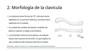 Revisiones ortopedia y traumatologia de anatomia | PPTX