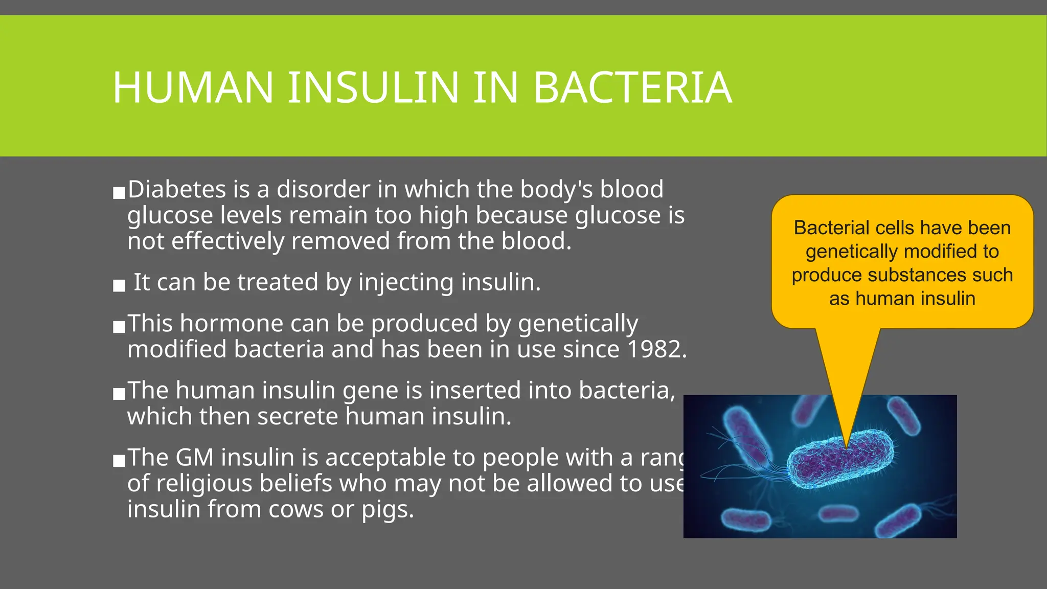 Revision Method Workshop Biology (Group Work) K&S.pptx