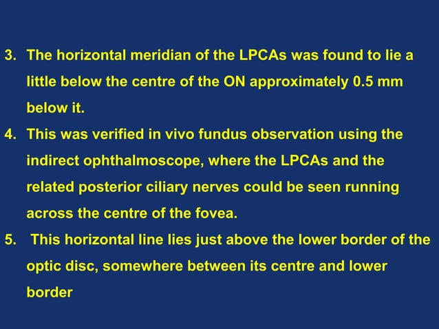 Revision of the Anatomy of the Posterior Aspect of the Eyeball - An ...