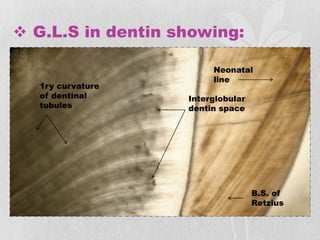 Revision oral histology 2020 | PPT