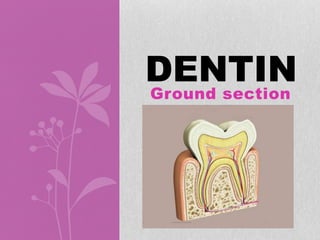 Revision oral histology 2020 | PPT