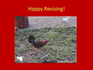 Revision Rooster Power Point | PPTX