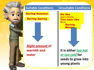 Revision- Life Cycle of Plants 2nd March | PPT