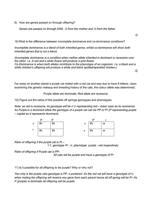Revision sheet genetics answered blog | PDF