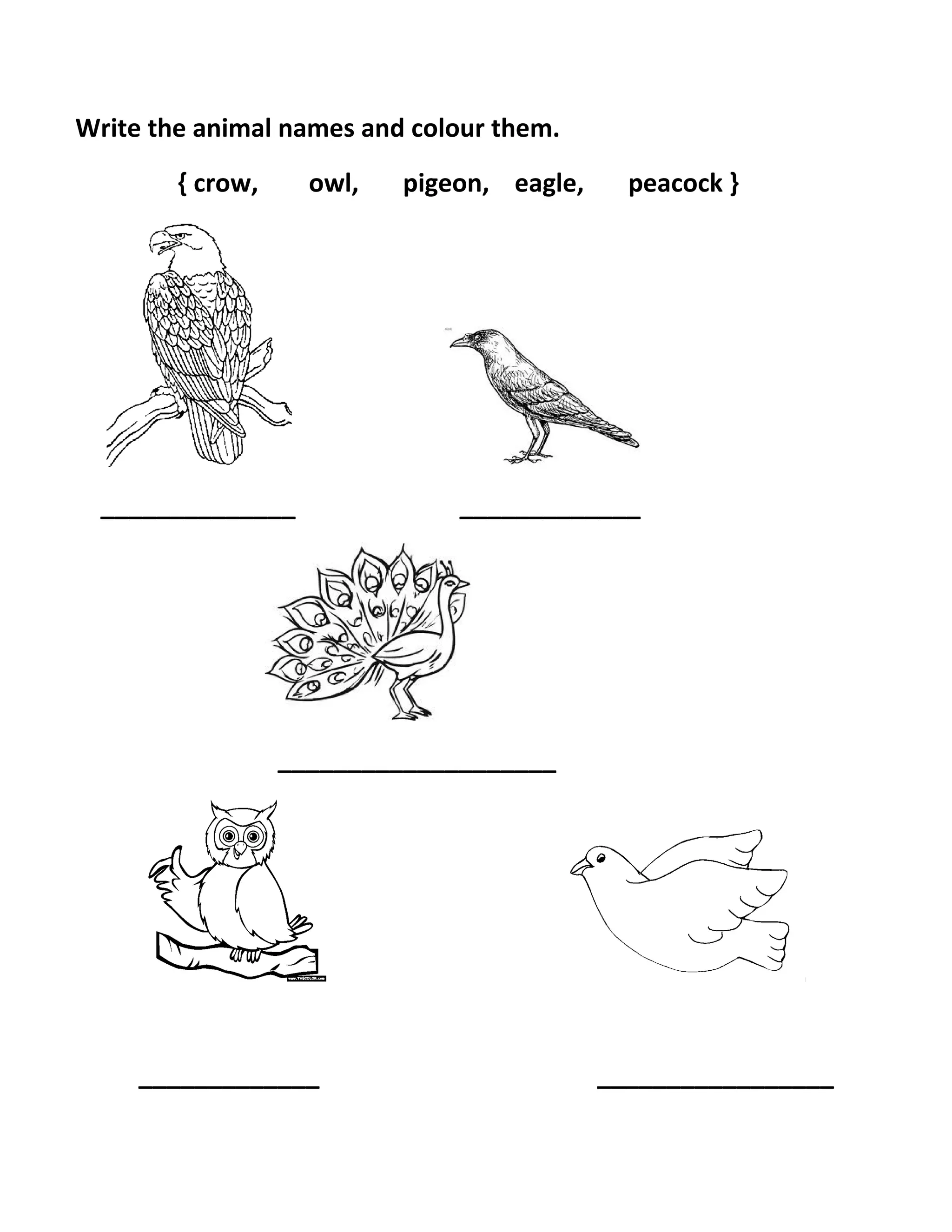 Revision sheet grade kg2 | DOC