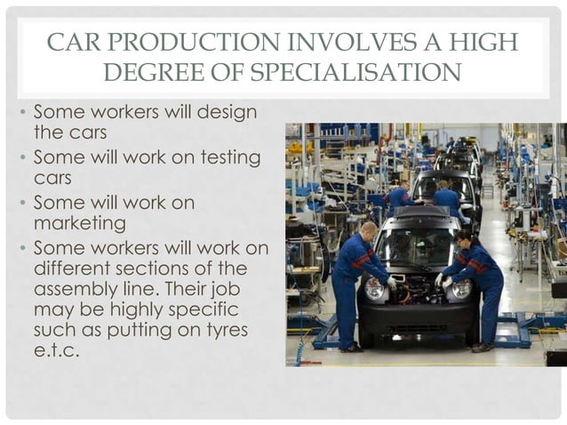 Revision specialisation and the division of labour | PPT