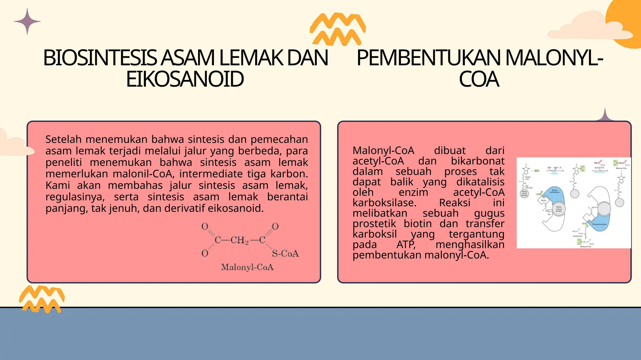 "Structure of common fatty acid" BIOSYNTHESIS LIPID (1).pptx