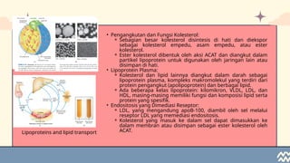"Structure of common fatty acid" BIOSYNTHESIS LIPID (1).pptx