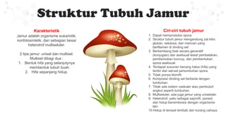 Karakteristik Jamur dan Berbagai macam kingdom Fungi | PPTX
