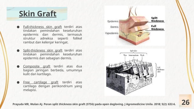 Revisi PPT Referat Open Degloving Injury.pptx