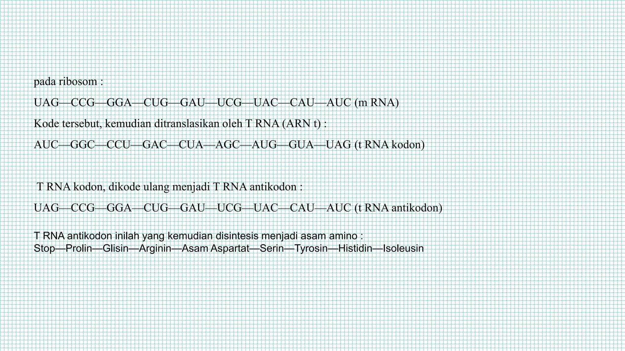 (Revisi) PPT SIntesis Protein.pptx