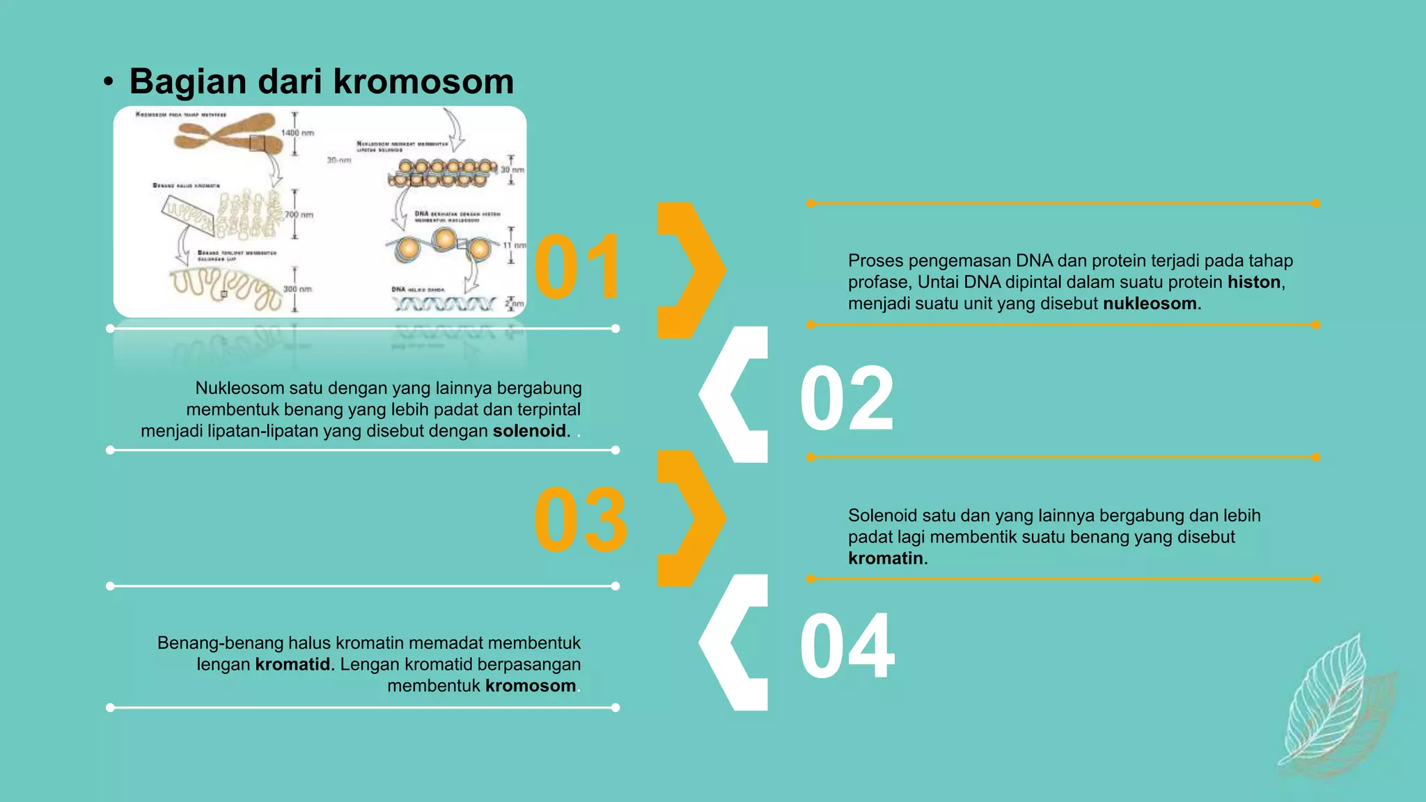 (Revisi) PPT SIntesis Protein.pptx