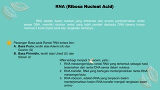 (Revisi) PPT SIntesis Protein.pptx