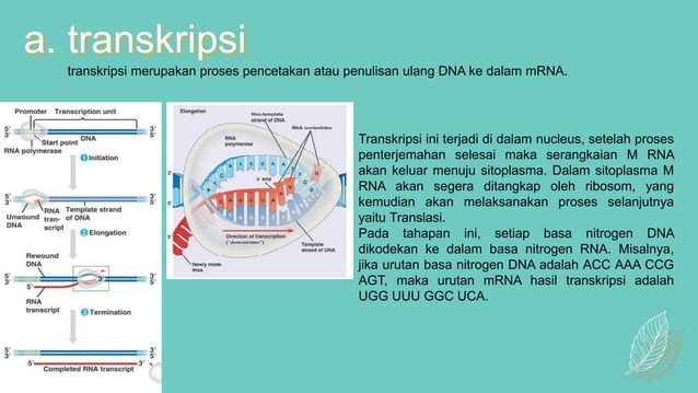 (Revisi) PPT SIntesis Protein.pptx