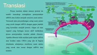 (Revisi) PPT SIntesis Protein.pptx