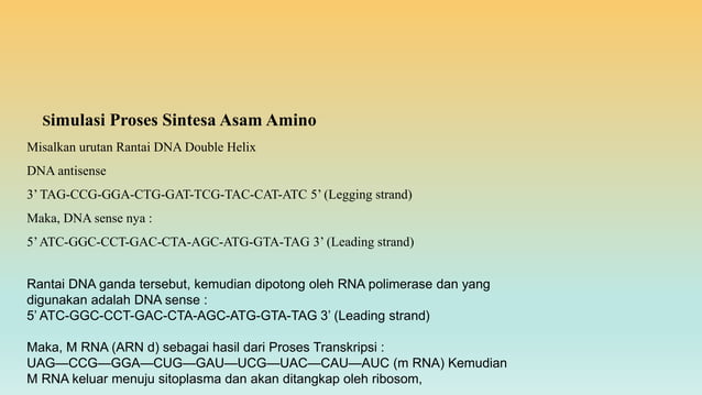 (Revisi) PPT SIntesis Protein.pptx