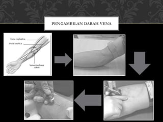 Plebotomi - teknik pengambilan darah vena | PPTX