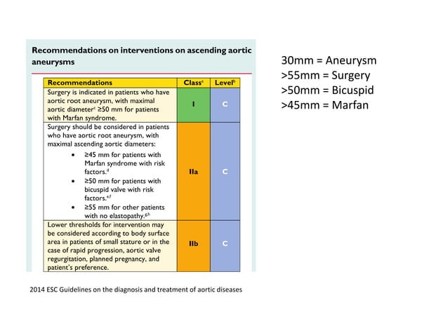 Revisiting bentall procedure | PPTX | First Aid | Injuries