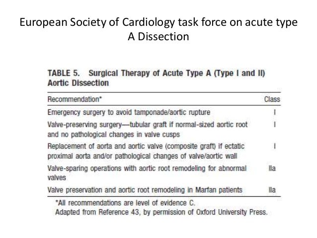 Revisiting bentall procedure