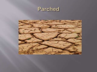 Rice Myth....Revisiting my past | PPTX