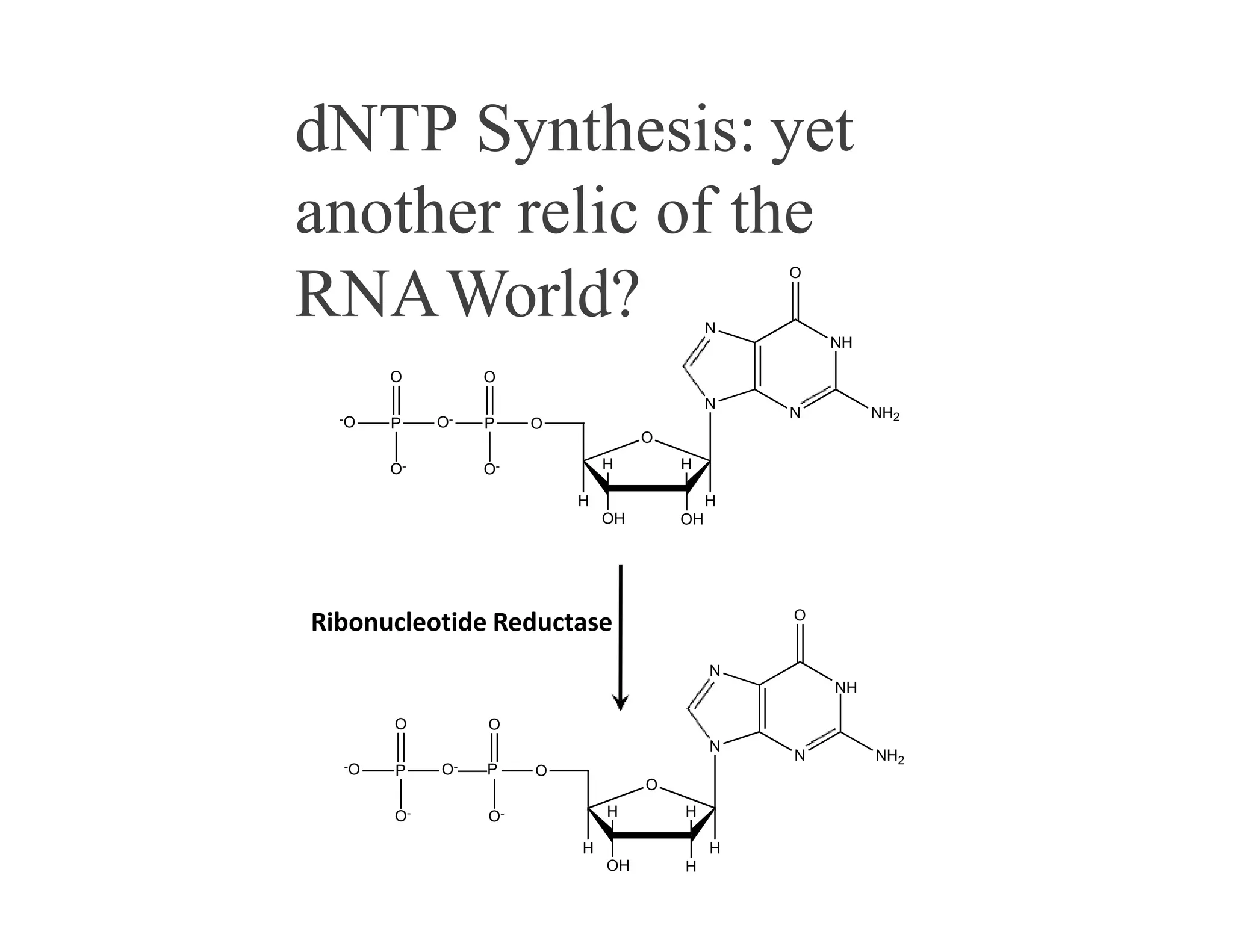 Revisiting origin of life and the RNA world | PPTX