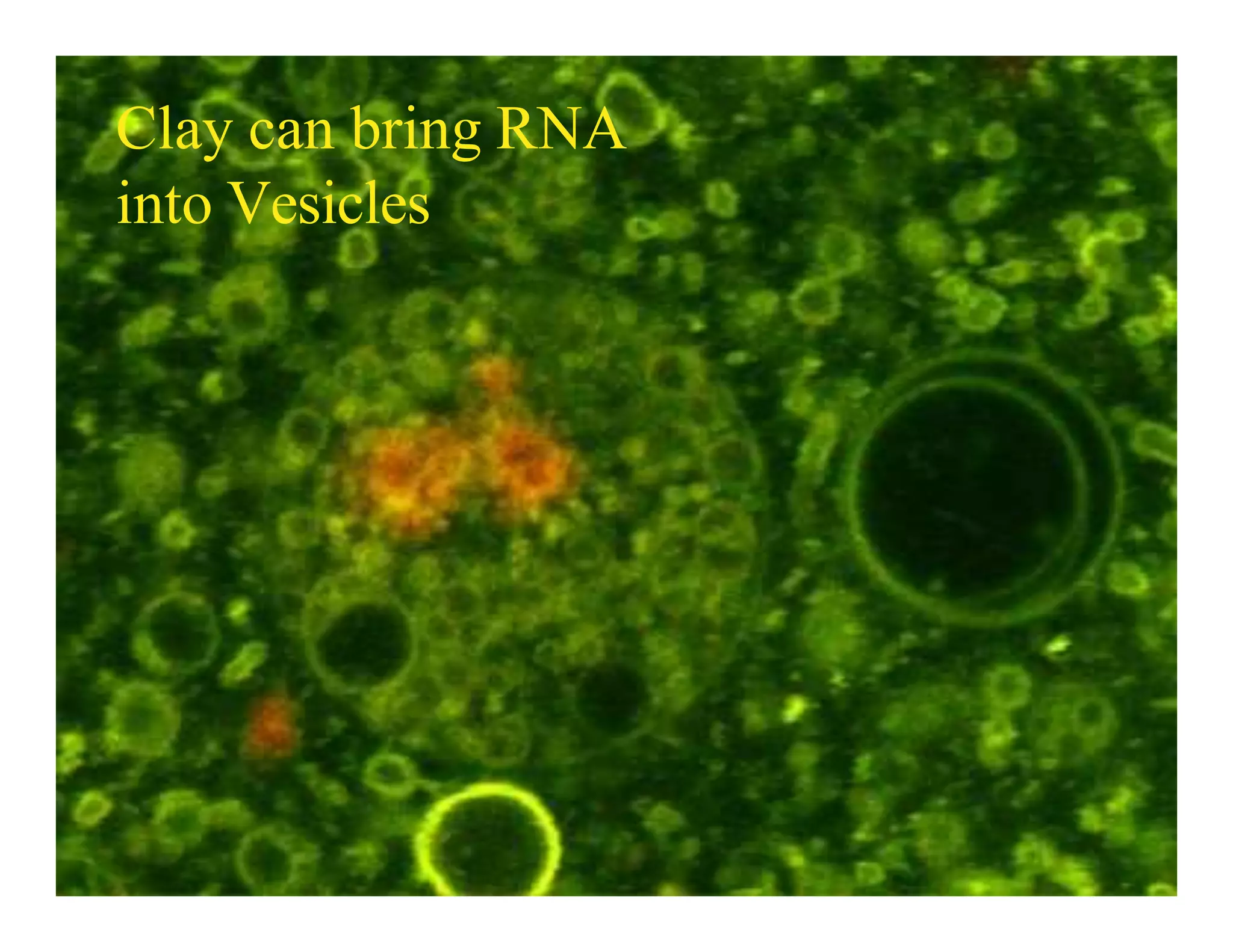 Revisiting origin of life and the RNA world | PPTX