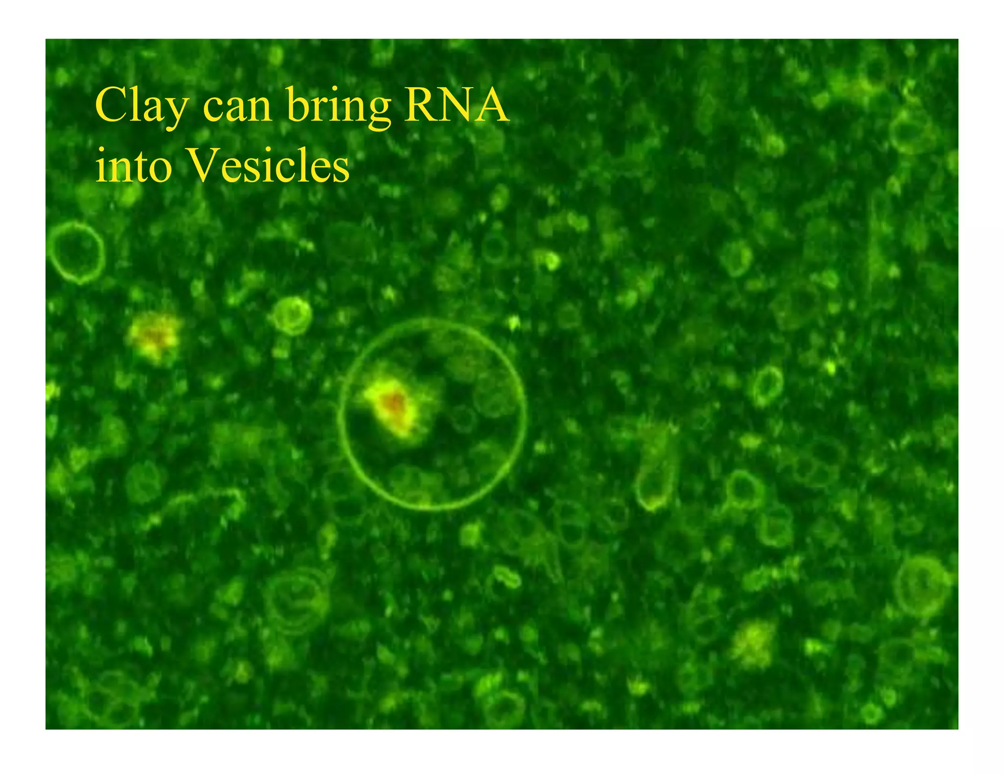 Revisiting origin of life and the RNA world | PPTX