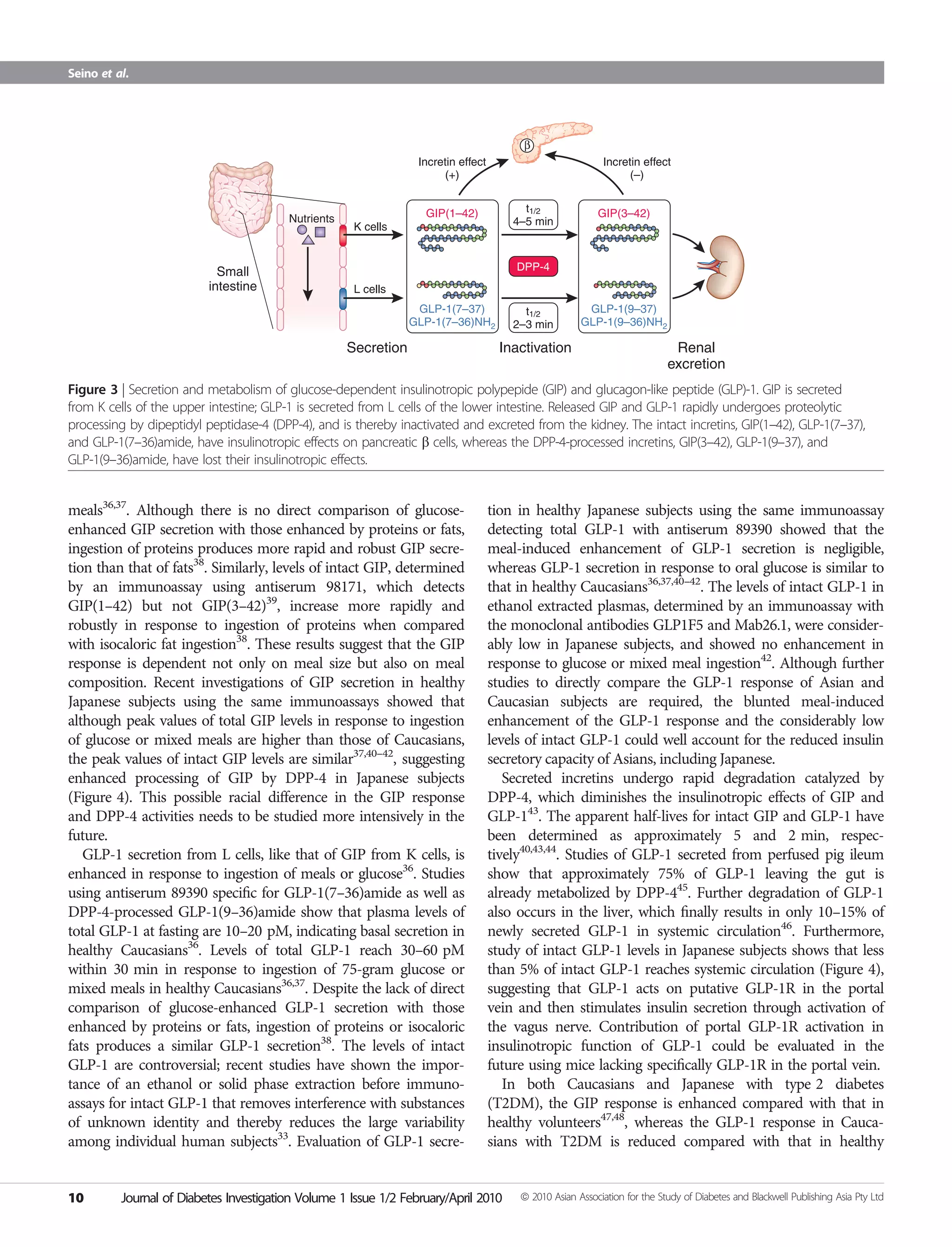 GLP 1 E GIP: DIFERENÇAS E SEMELHANÇAS | PDF