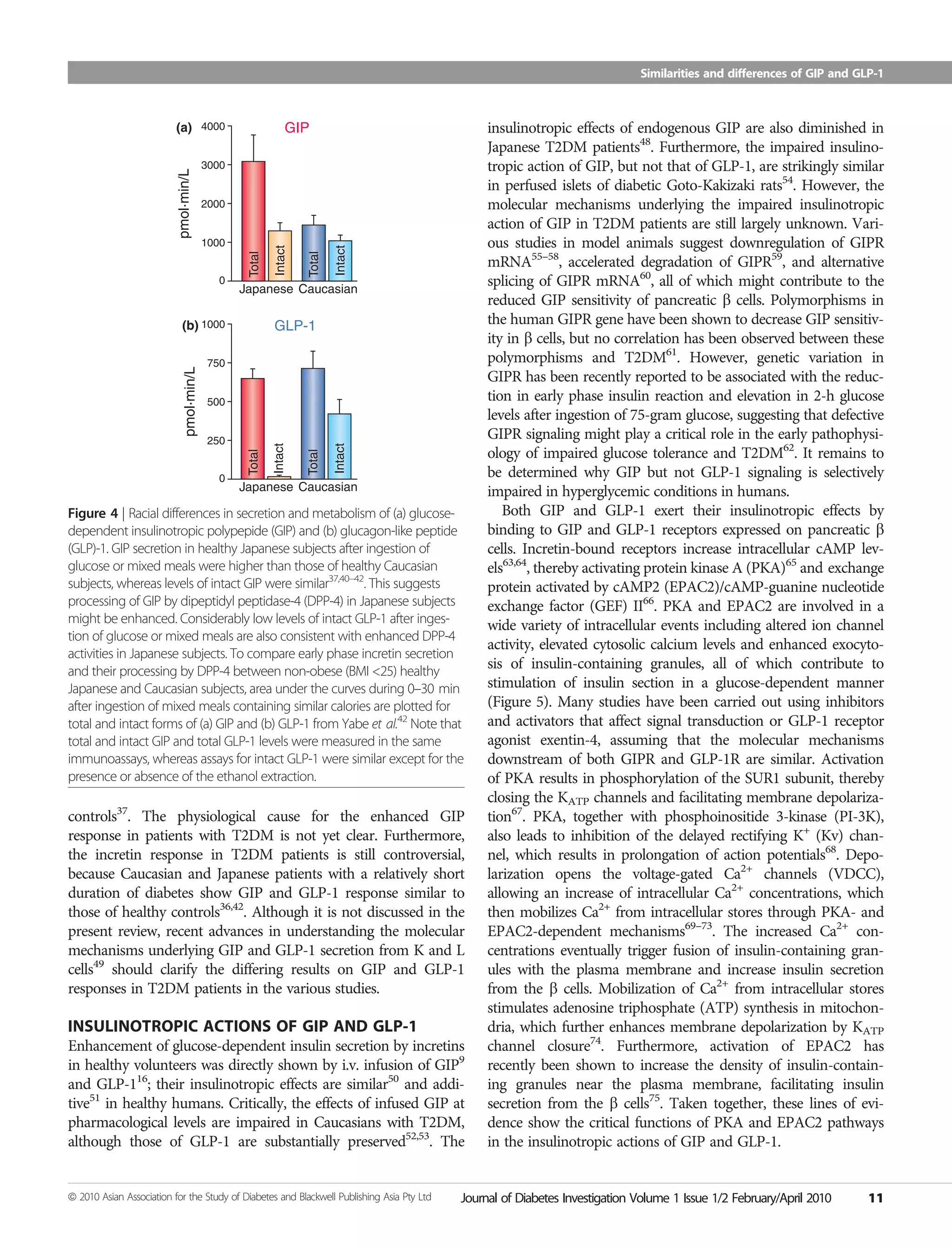 GLP 1 E GIP: DIFERENÇAS E SEMELHANÇAS | PDF