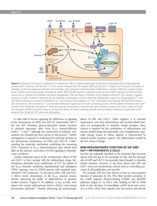 GLP 1 E GIP: DIFERENÇAS E SEMELHANÇAS | PDF
