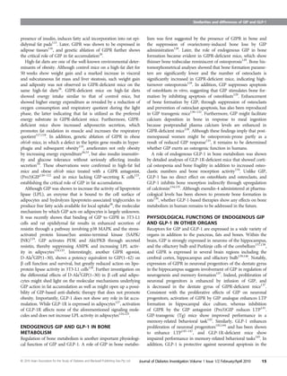 GLP 1 E GIP: DIFERENÇAS E SEMELHANÇAS | PDF