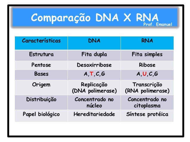 Revisão ENEM - Genômica celular