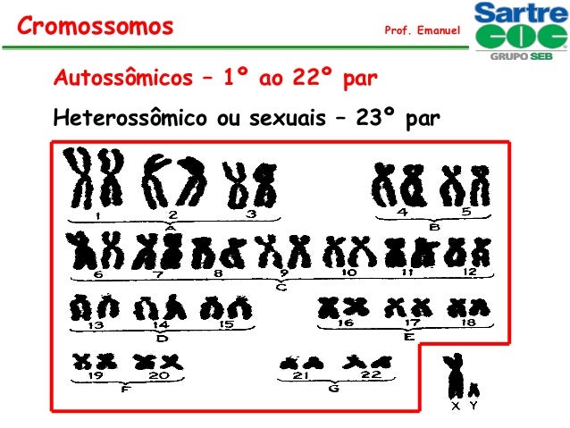 Revisão ENEM III - Aspectos gerais da célula