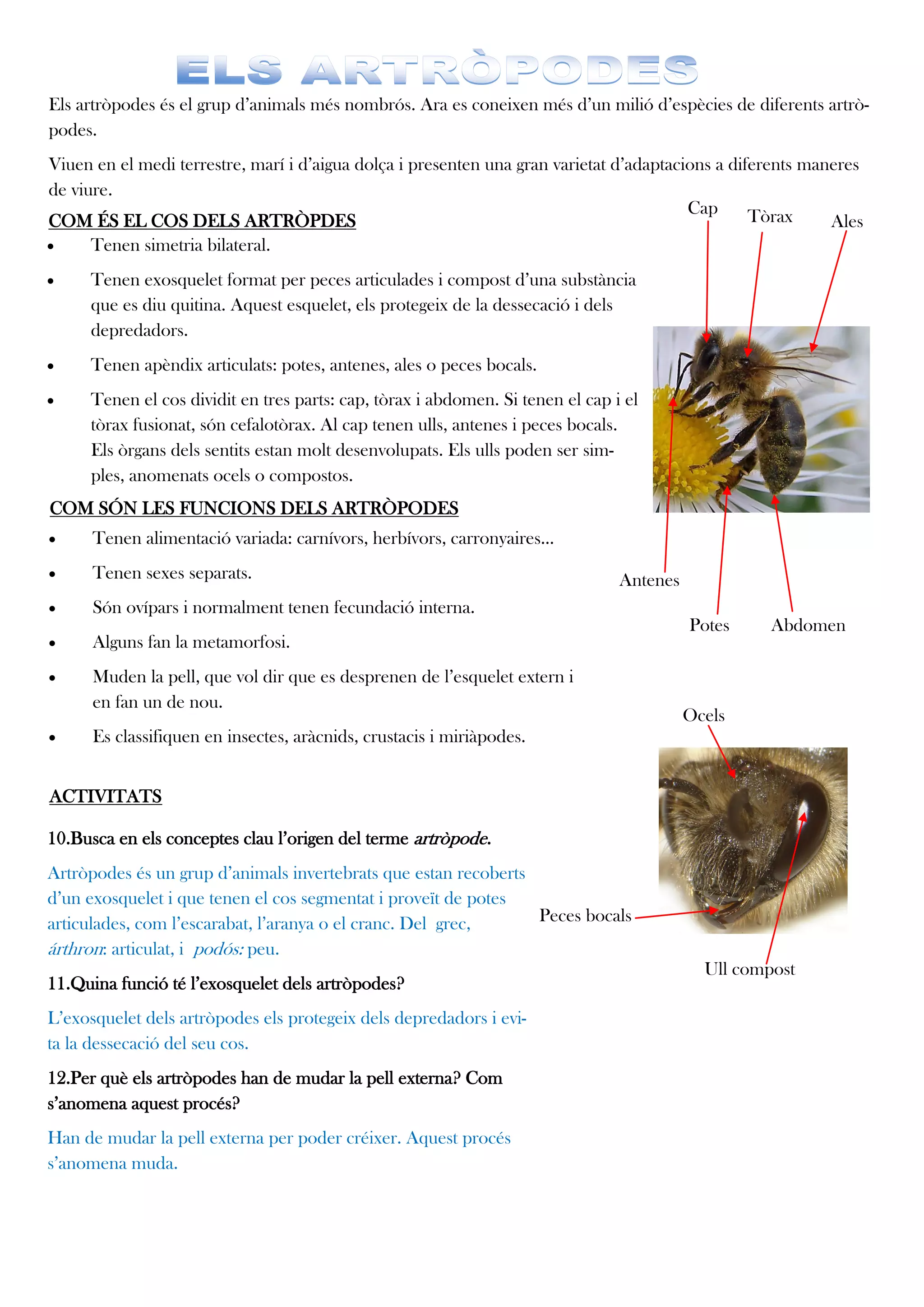 animals invertebrats | PDF