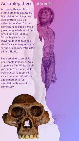 Revista digital australopithecus afarensis | PPTX